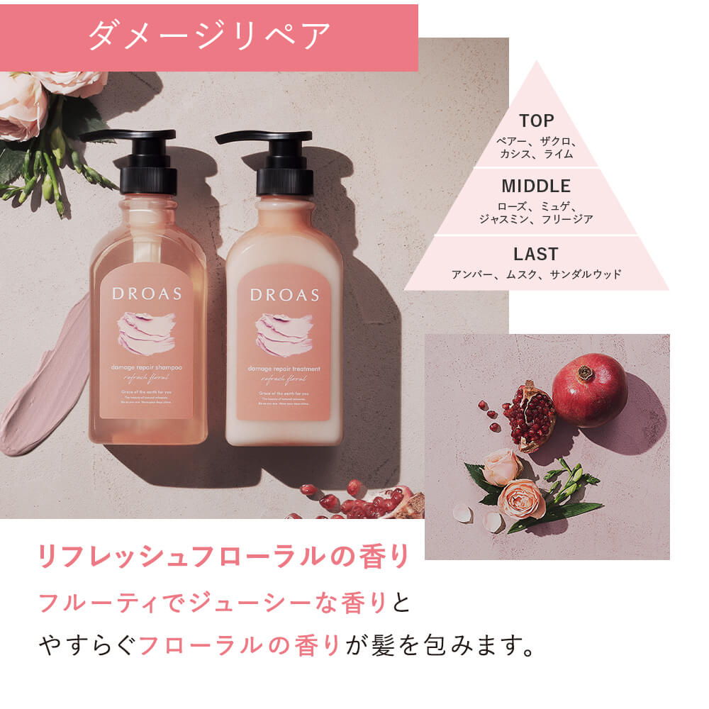 【送料無料】【初めての方へ】DROAS(ドロアス)公式限定お試しセット(シャンプー&トリートメント)＜12時までのご注文は当日発送＞